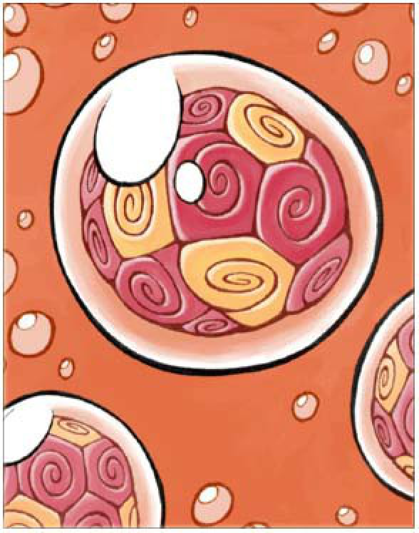 Marine Sphere Card - Ragnarok M: Eternal Love Wiki | Poggregate